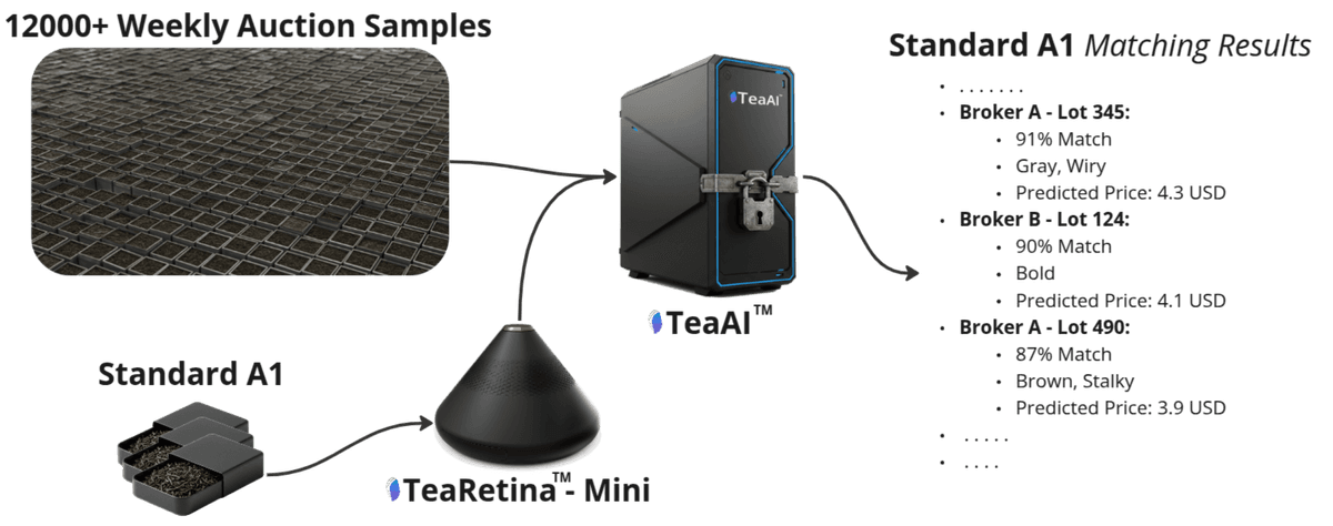AI for Tea | Digitizing Tea | Tea Technology